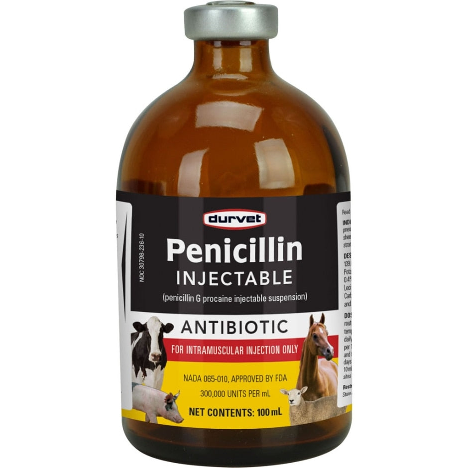 DURVET PENICILLIN G PROCAINE INJECTABLE - Detroit, MI - Detroit K-9 Pet ...